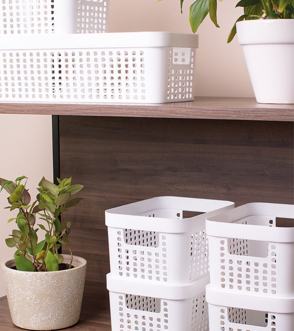 LP House | Design, Inovação e Preço Baixo